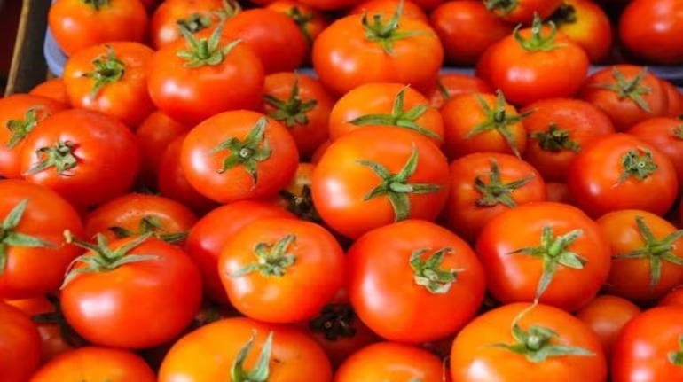 VIJAY UPADHYAY - Government reduces subsidised tomato price to Rs 80/kg with immediate effect in ...
